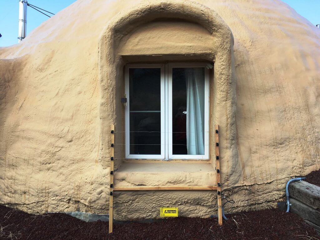 Bears in Crestone - Delightful Dome Vacation Rental in Crestone, Colorado